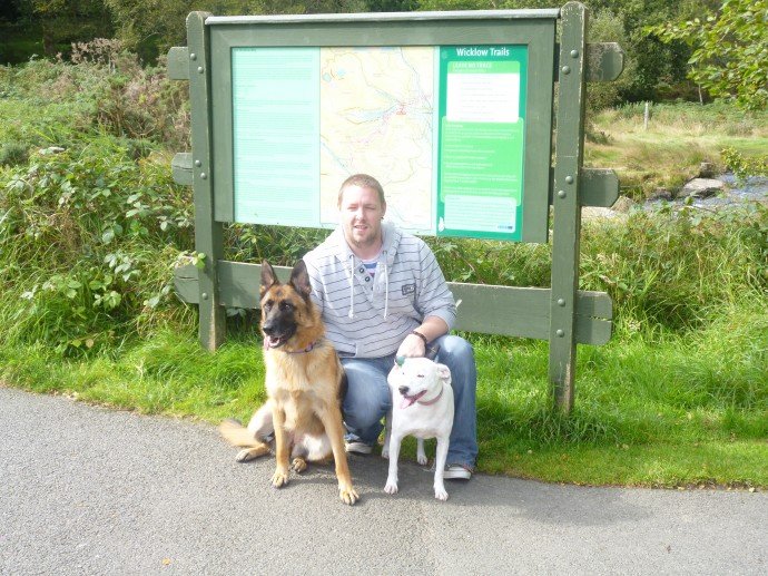 Yasmine - German Shepherd *HOMED* - Dogs in Distress