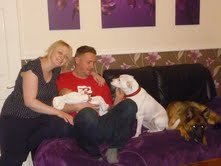 Yasmine - German Shepherd *HOMED* - Dogs in Distress